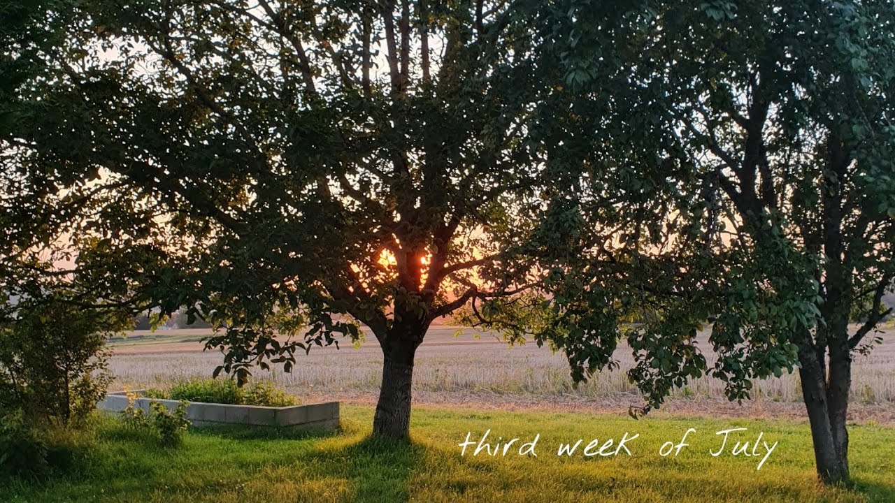 third week of July - YouTube