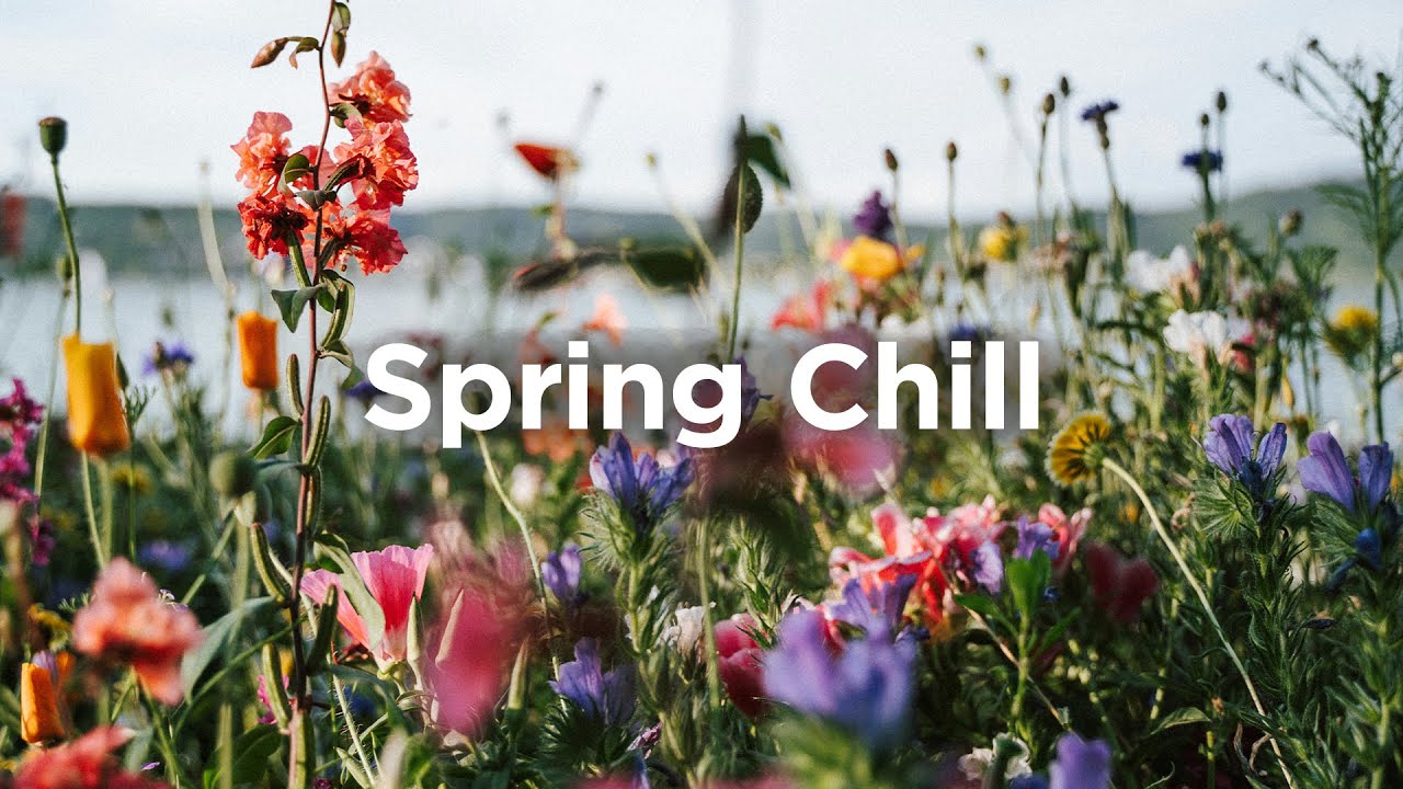 Spring Chill Mix 🌸 Relaxing Tracks for Your Springtime 🌼 - YouTube