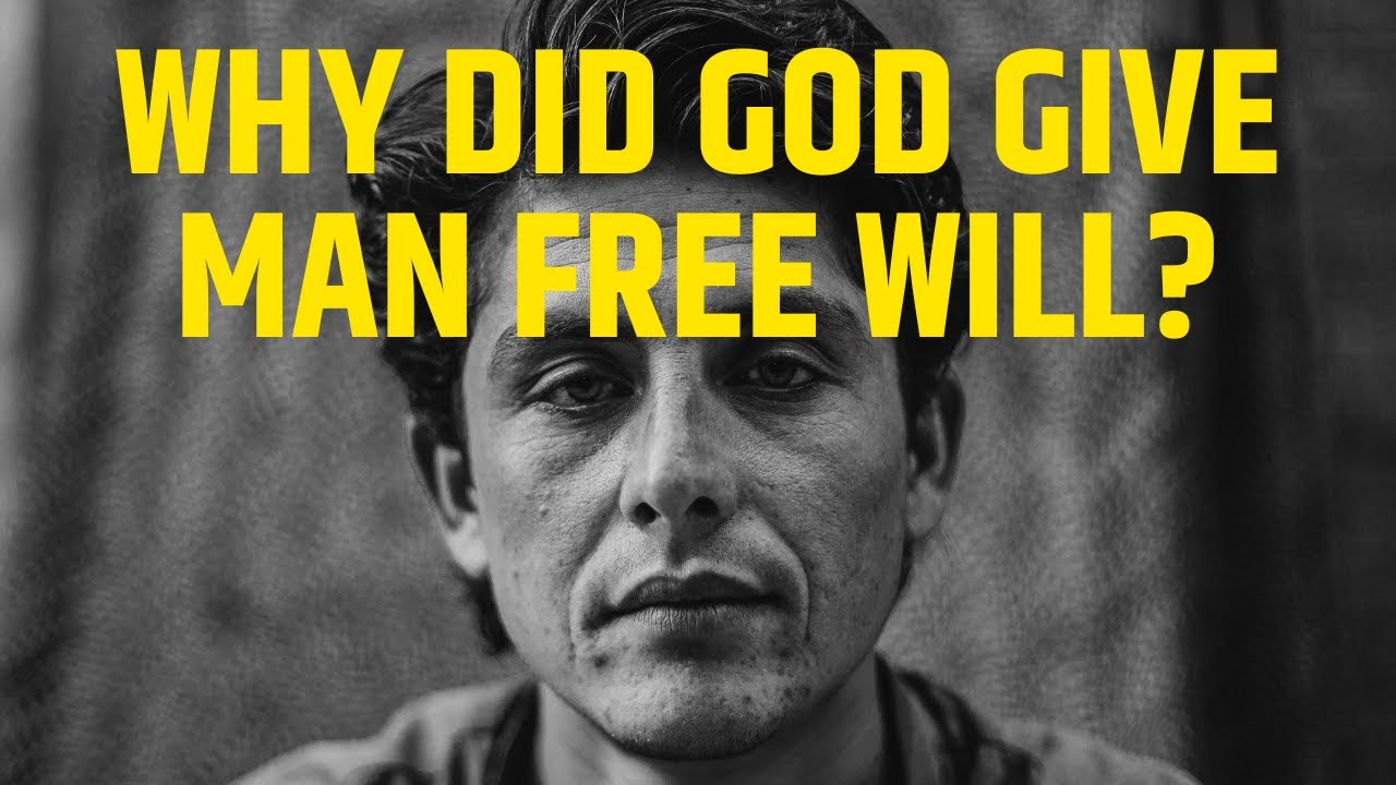 #6 - Why did God give man freewill? | Cameron Swain - YouTube