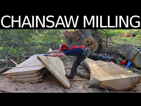HUGE CHAINSAW MILLING JOB!! 45 Foot White Oak!!!