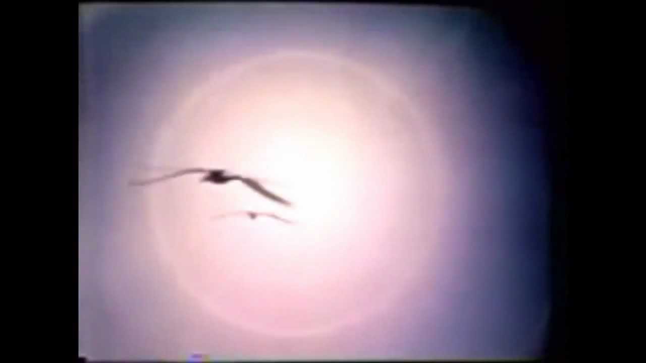 OLTL Opening 1968.2011 - YouTube