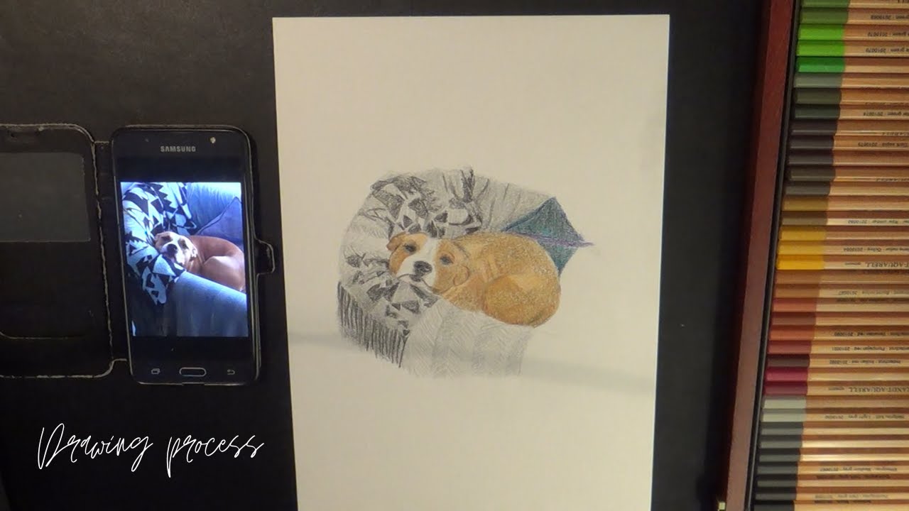 Draw with me - cute doggo (drawing process) - YouTube