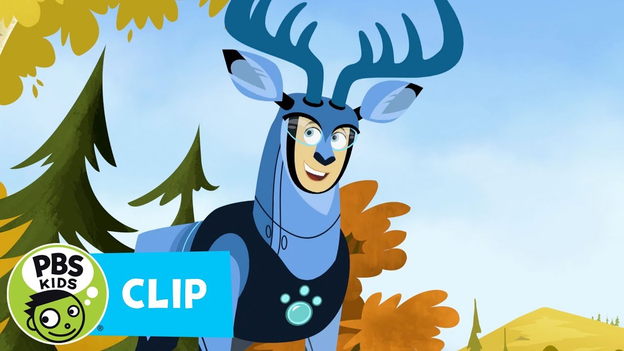 WILD KRATTS | Deer Power! | PBS KIDS - YouTube