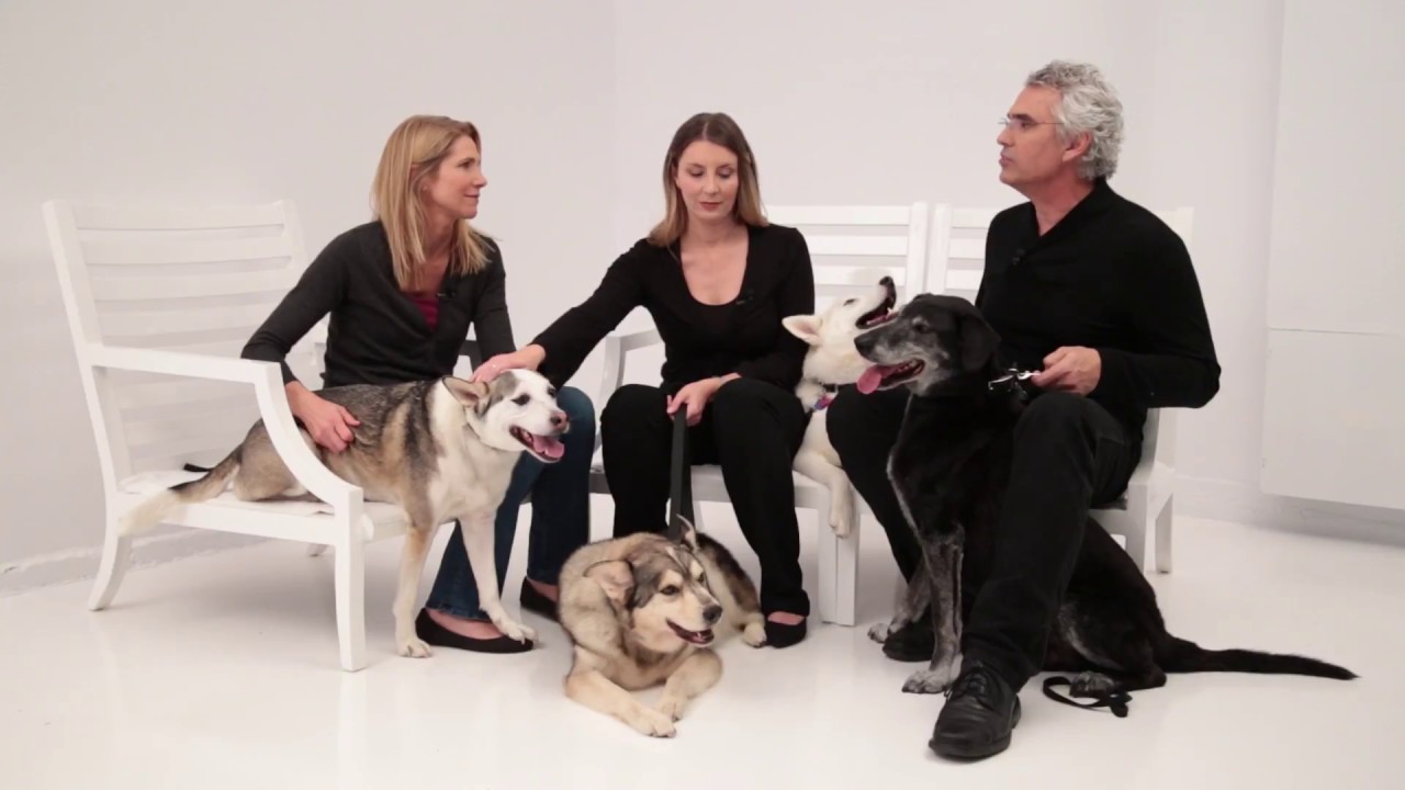 People and Pups- Heather's Pack Part 1 of 2 - YouTube
