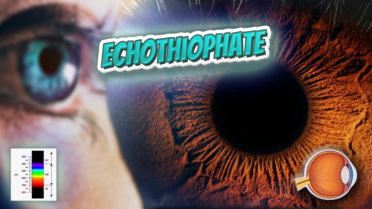 Echothiophate (Your EYEBALLS) 👁️👁️💉😳💊🔊💯 - YouTube