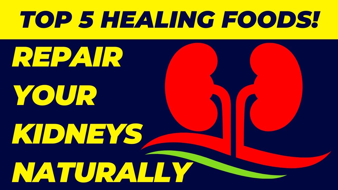 top 5 foods that repair kidneys naturally - YouTube