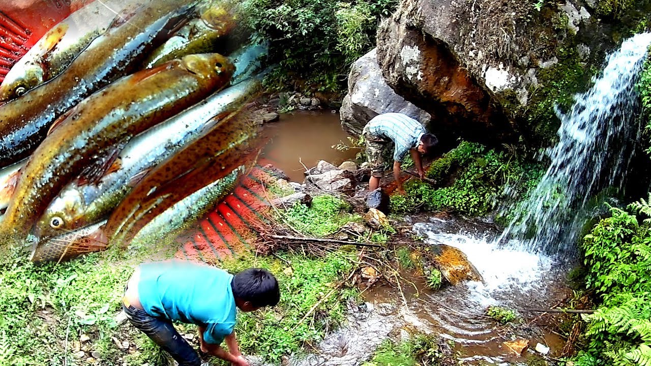 Natural Fishing A+++ 🐟 🐟 🐟 Into Himalayan Cold River of Nepal - YouTube