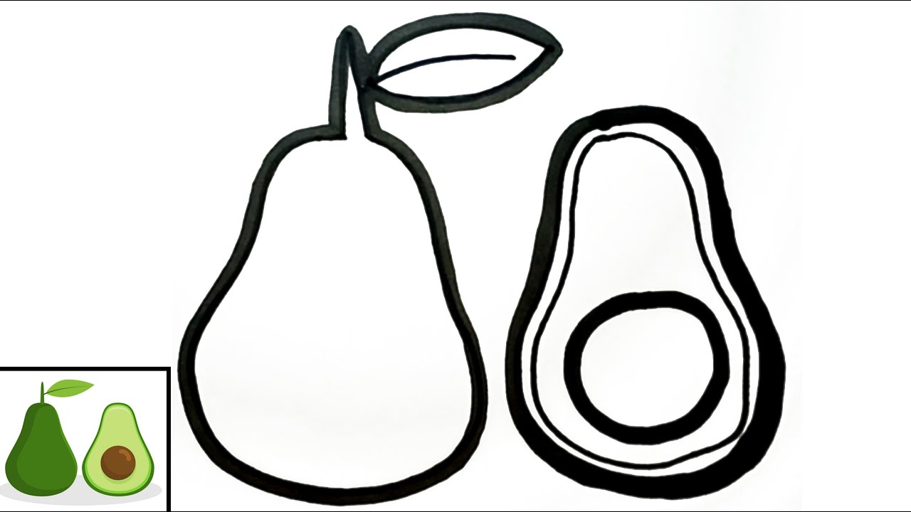 Sketsa Buah Alpukat