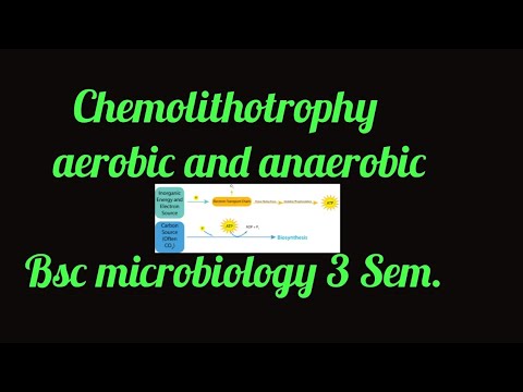 Chemolithotrophy aerobic and anaerobic respiration| Microbiology |Bsc ...