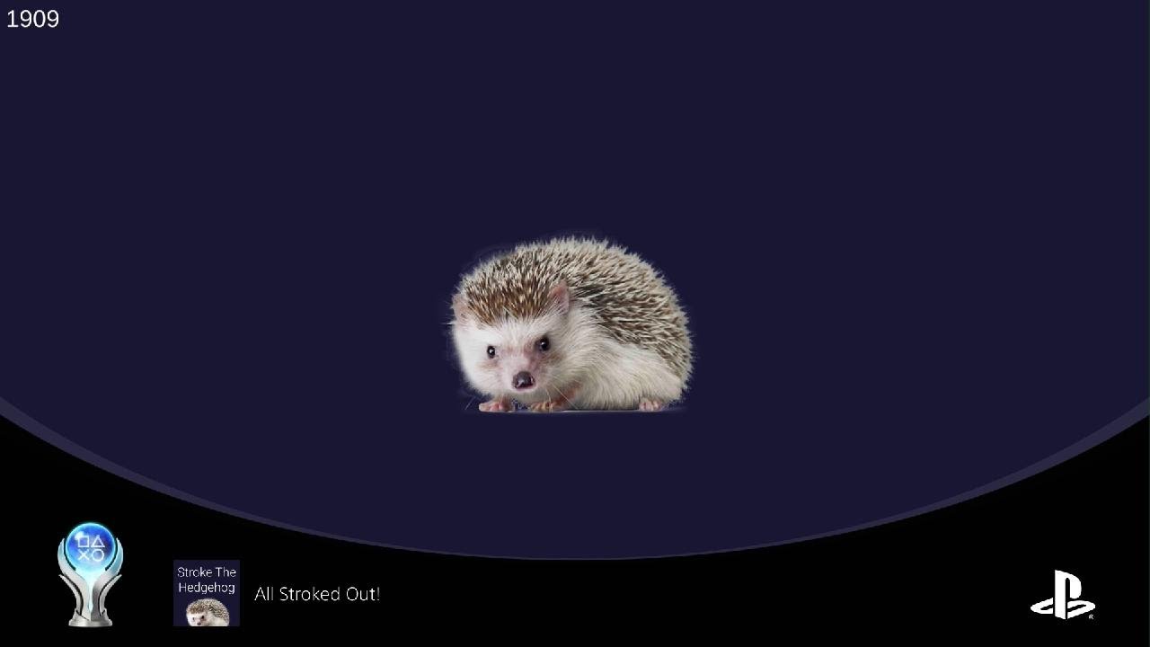 Stroke The Hedgehog Platinum - YouTube