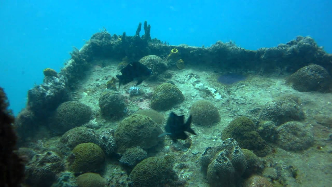 Ocho Rios Scuba Dive Sites Katherine Ship Wreck Minesweeper Part One ...