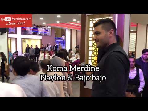 Koma Merdine - Naylo & Bajo hafız Bajo #bajobajo  #naylo #dilan  #kürdi #kürtçeşarkı