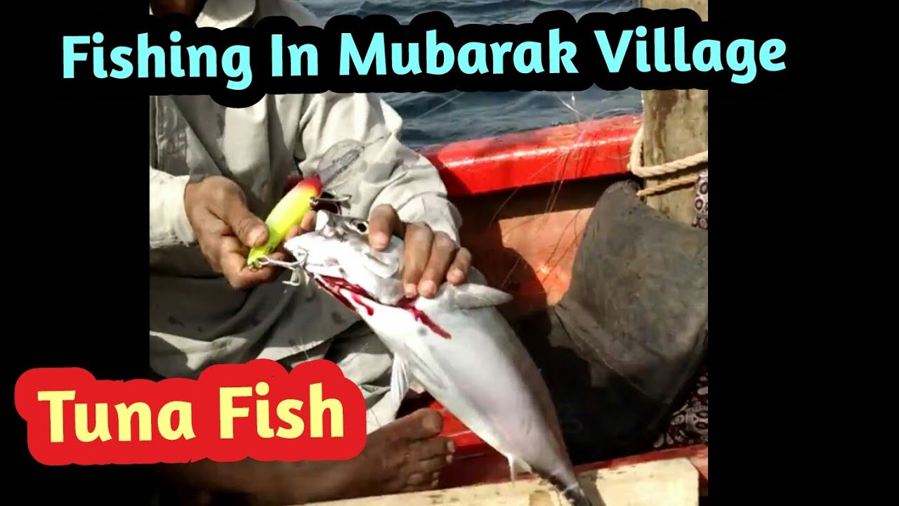 Mubarak village Fishing with Faheem ( late,may his soul rest in peace ...