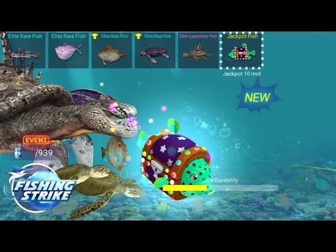 Jackpot fish - Big fish Fishing Strike - YouTube