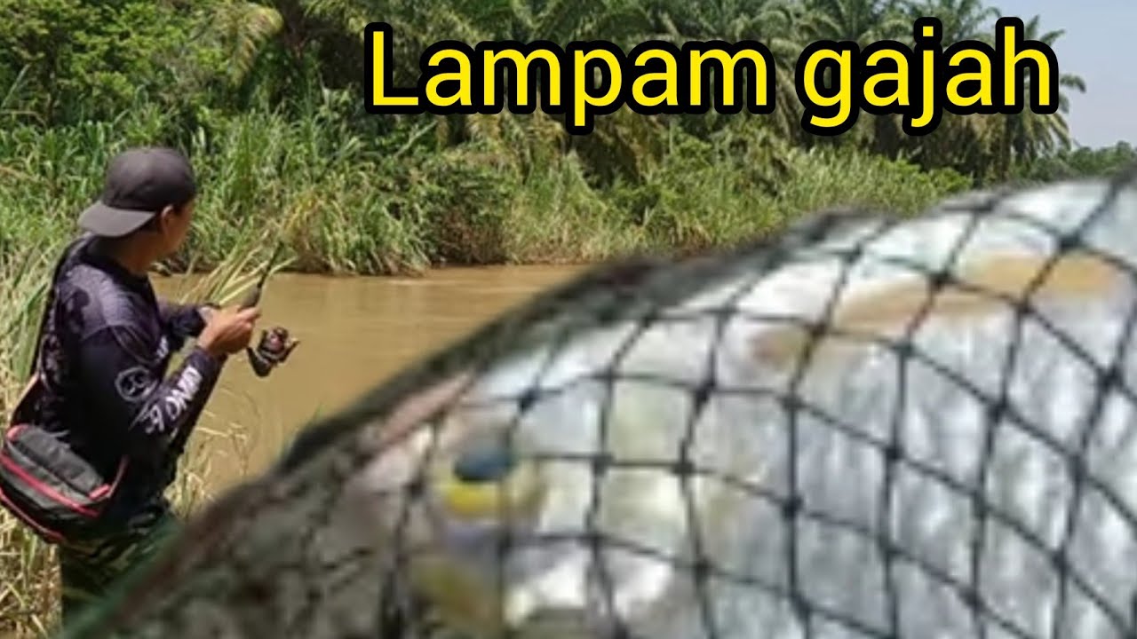 slim river. seronok memancing ikan.air nya bersih ikan semua nya segar ...