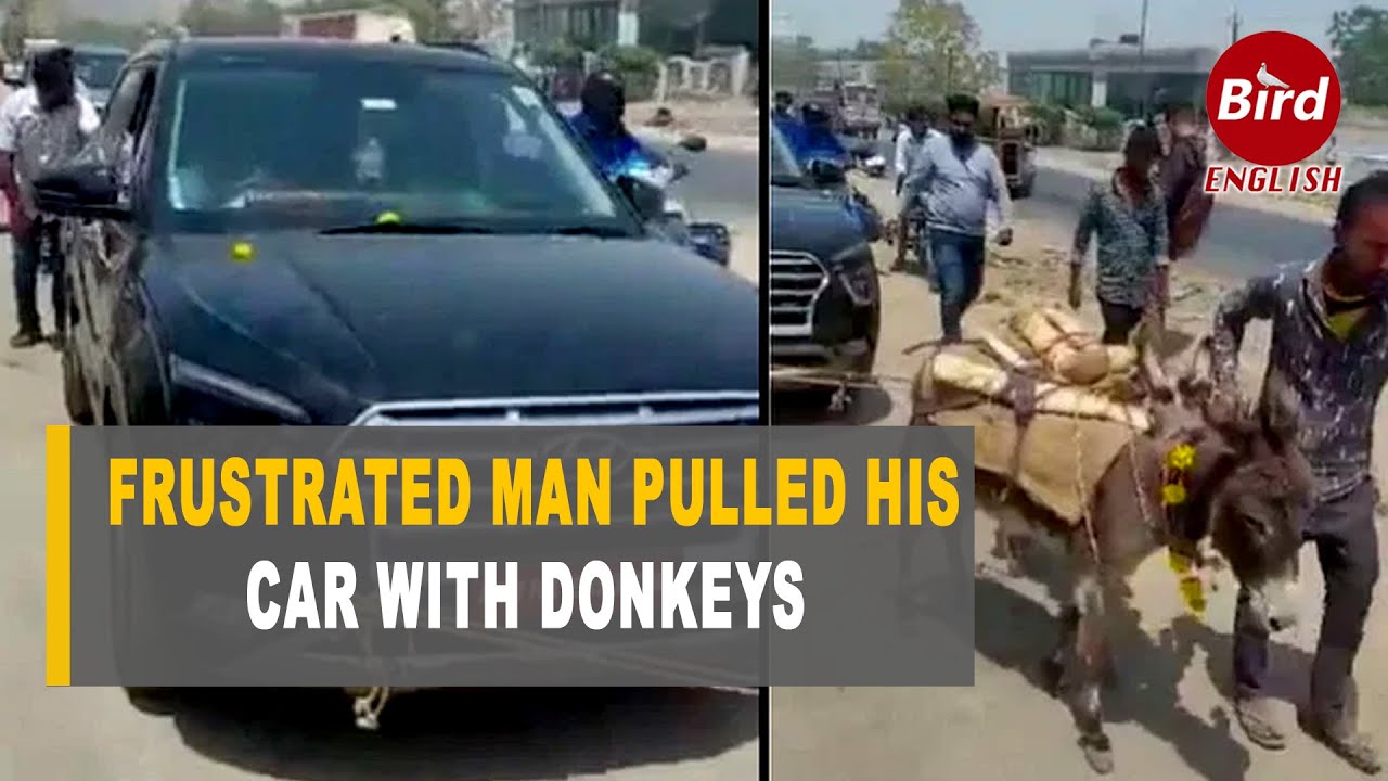 Hyundai Creta Car Taken to Showroom Pulled by Donkeys Because Of ...