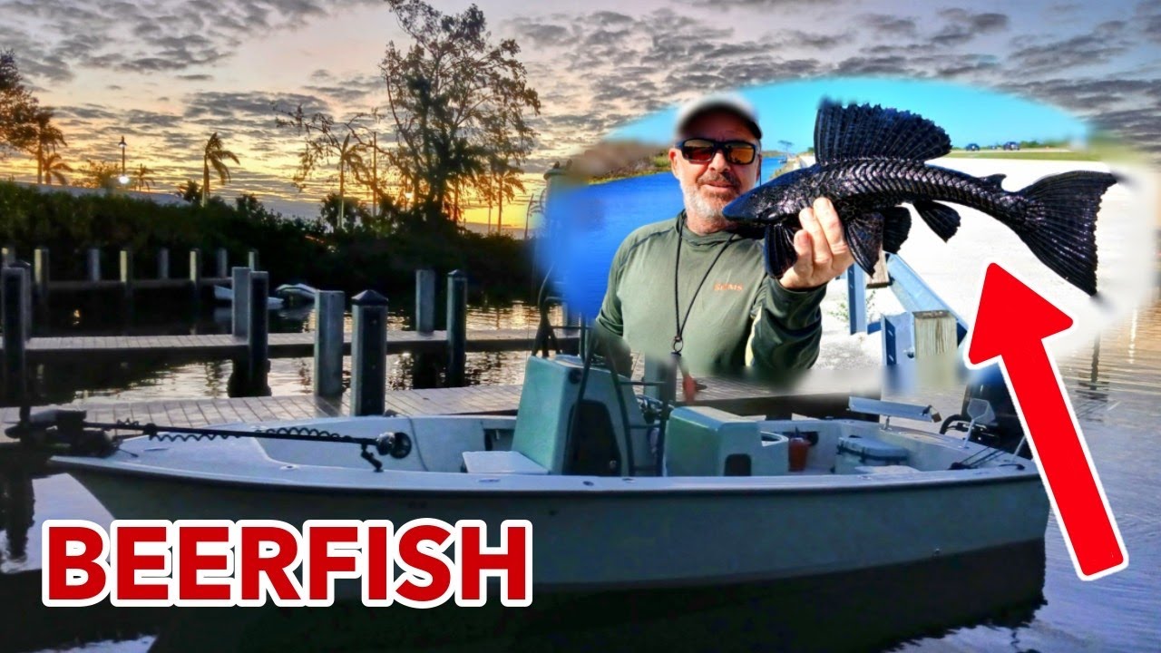 Beerfish: Winter Time - YouTube