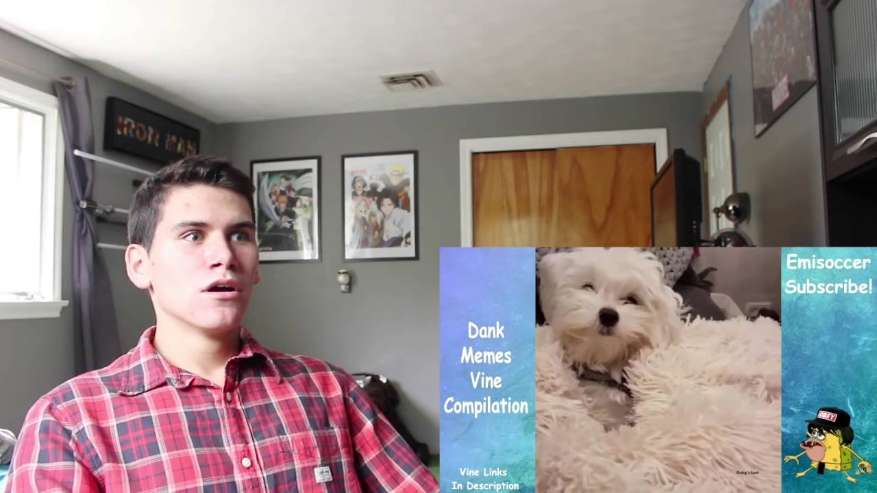 Dank Memes Compilation - Reaction! - YouTube