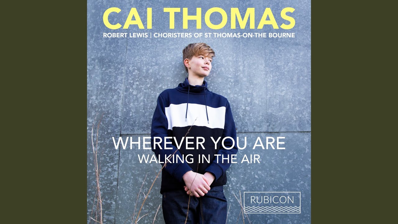 The Snowman: Walking in the Air - YouTube