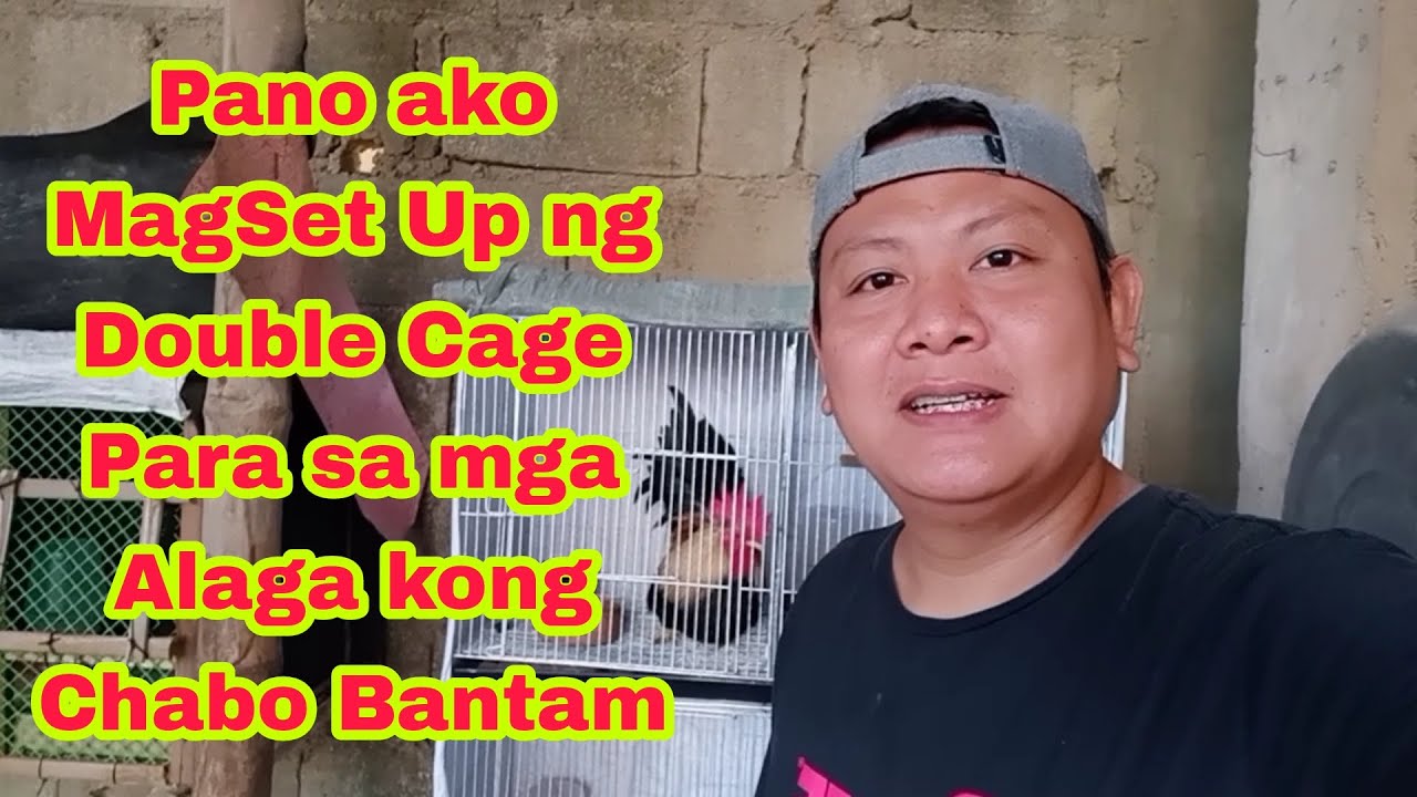 Chabo Bantam Hen 2nd Hatch Soon/ Set Up tayo ng Double Cage. - YouTube