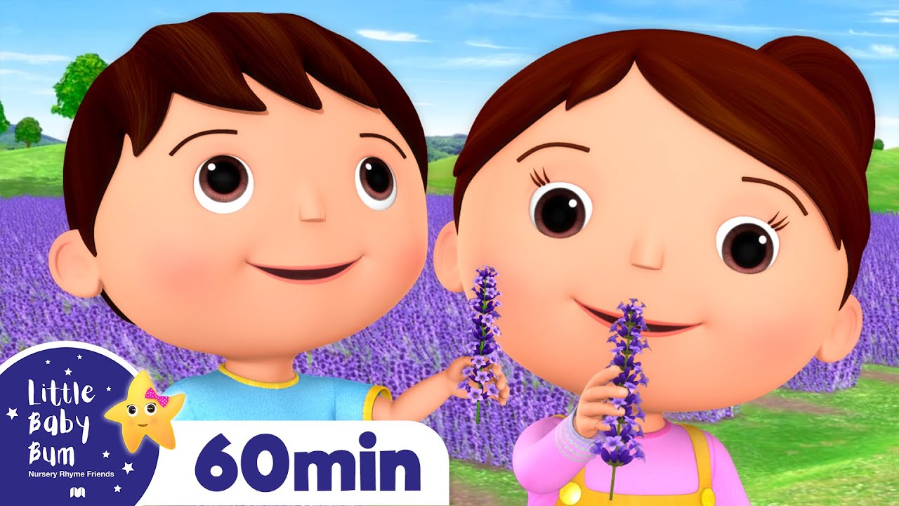 Lavender's Blue Dilly Dilly - Little Baby Bum | Kids Cartoons & Nursery ...