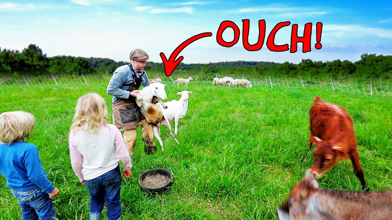 SPRING Homestead RUSH - YouTube