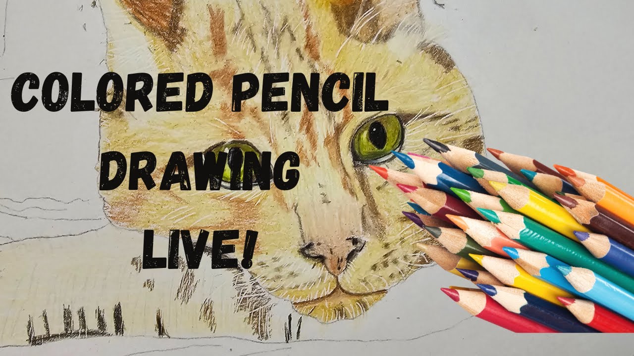 Colored Pencil Drawing in Real Time - YouTube