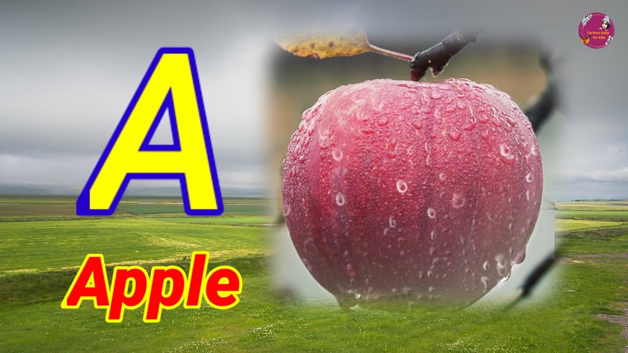 let's learn the alphabets A-Z for kids visuals pictures fast learning ...