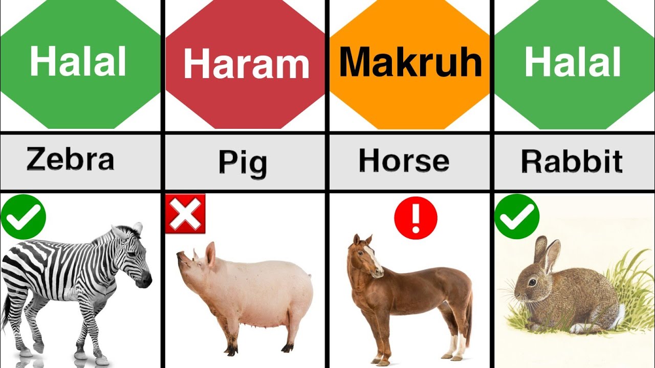 List of all Halal and Haram Animals meat - YouTube