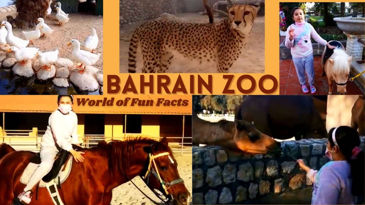 Bahrain Zoo || Batelco Wild Animals Complex || Al Areen Zoo - World of ...