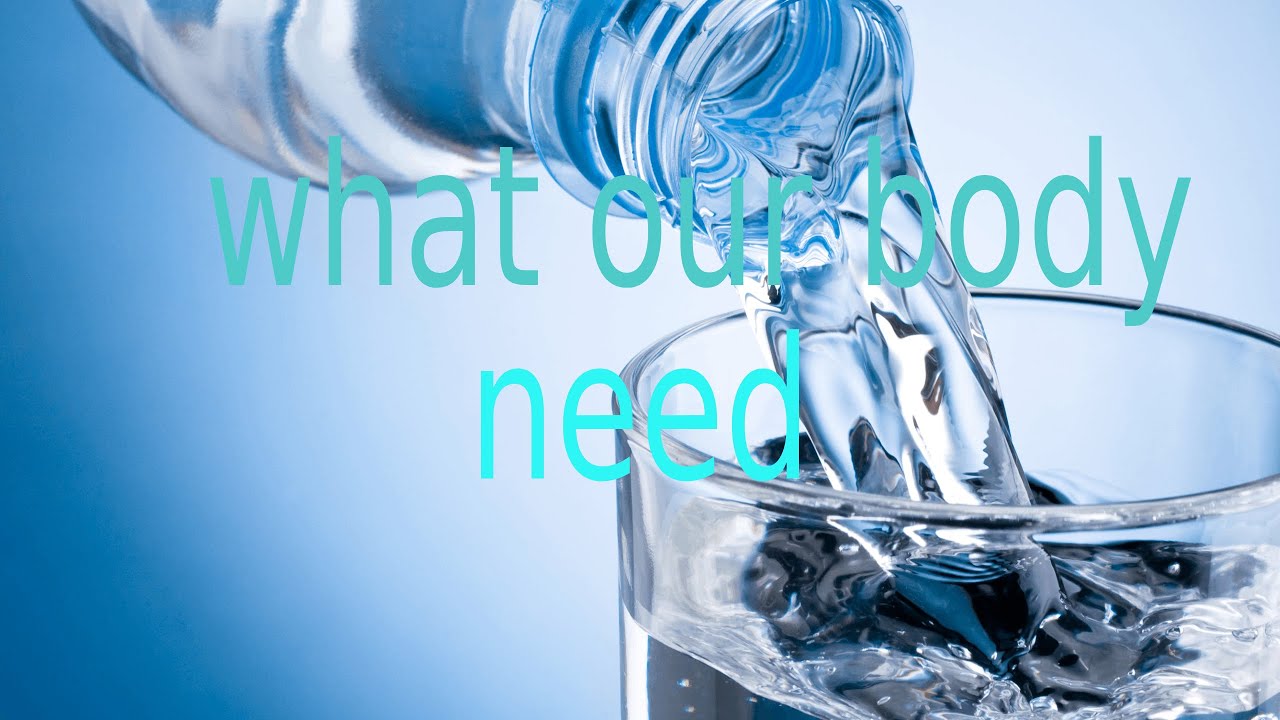 what water does in body/uses of water in our body - YouTube