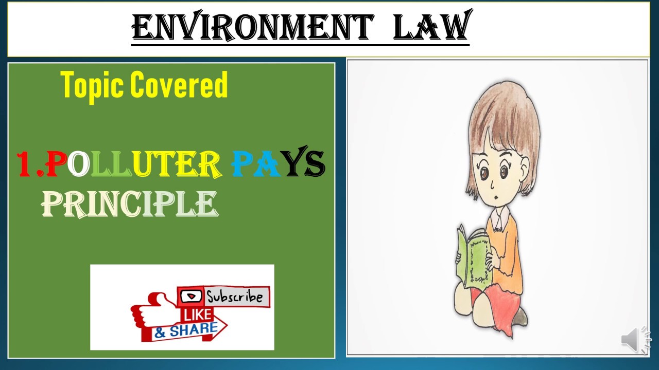 Polluter Pays Principle Video in Environement Law - YouTube