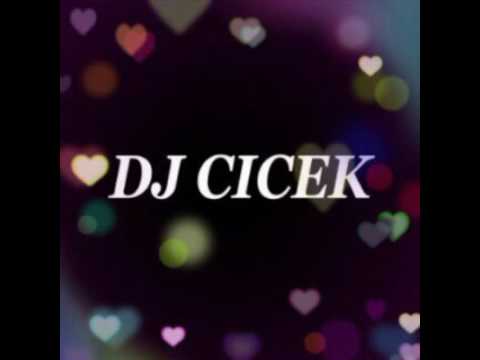 Dj Cicek -Daha mumkun deyil qovushmagimiz sevgilim