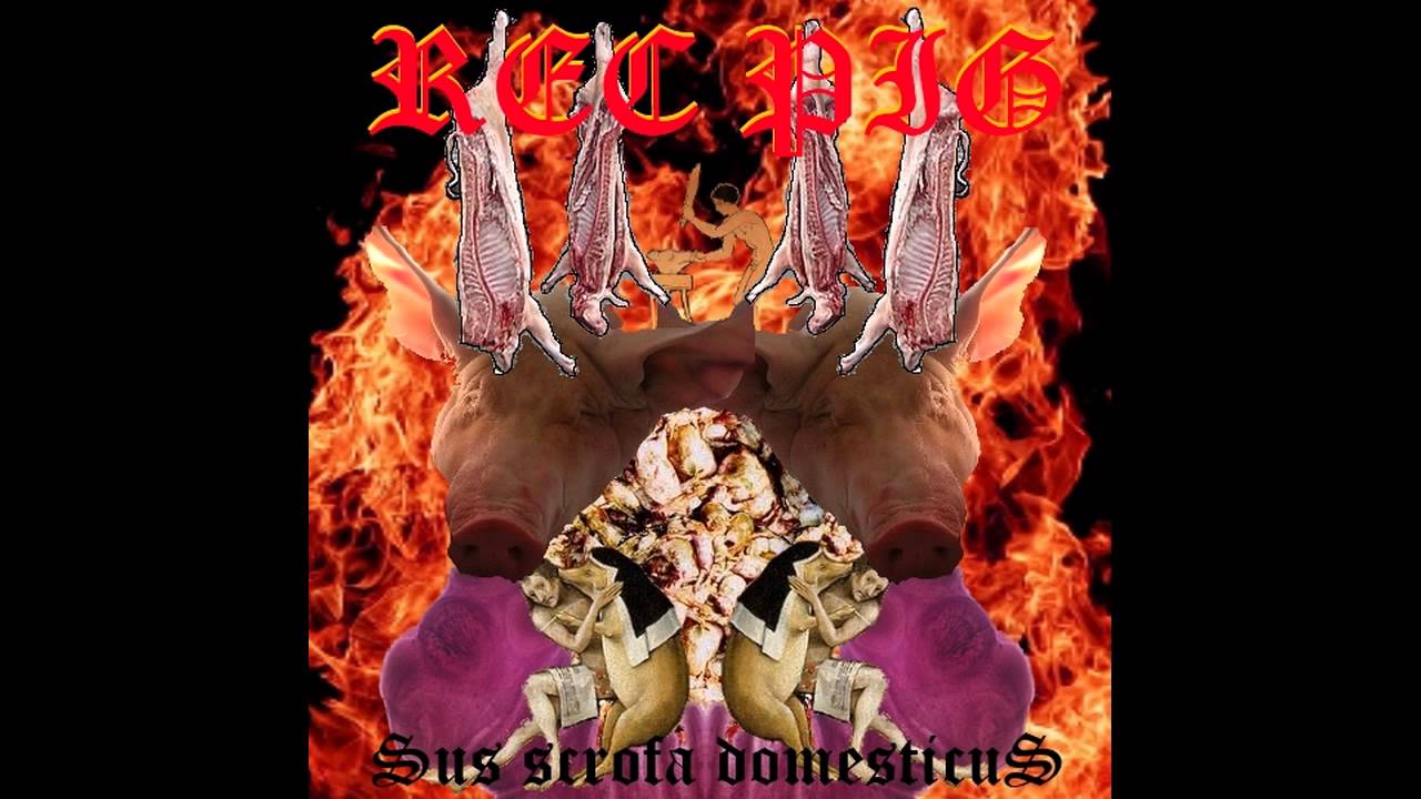 2013 Erysipelothrix rhusiopathiae Sus scrofa domesticus REC PIG - YouTube