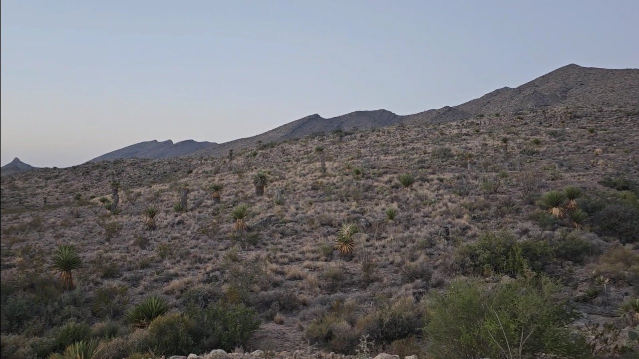 Peaceful evening @Timeline Ranch - YouTube