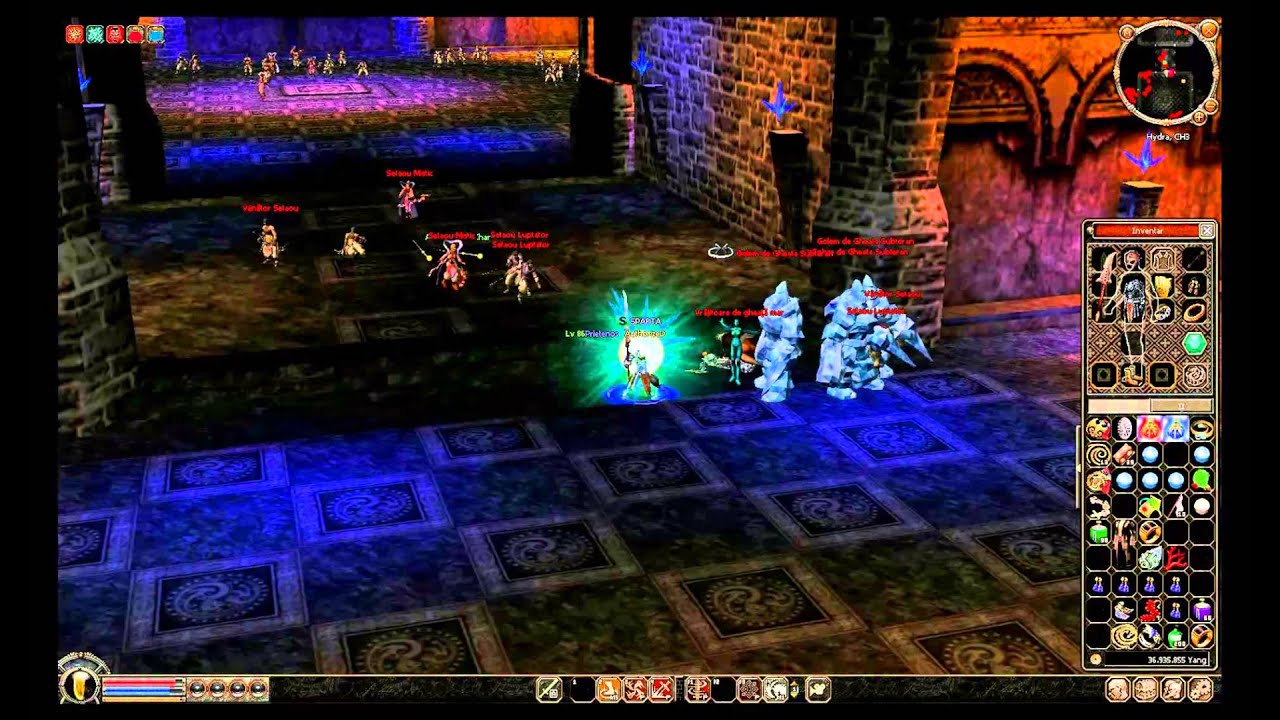 Metin2.ro Hydra AuthorizeD nr.2 production - YouTube