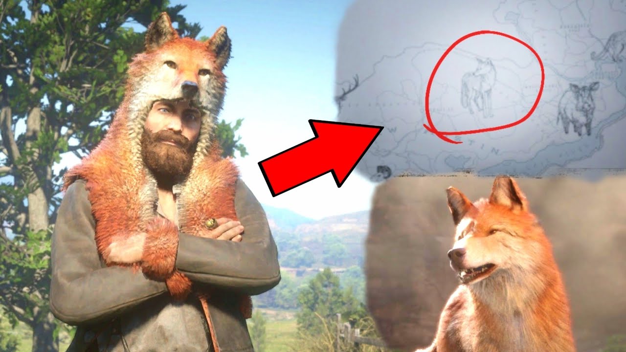 how to find the legendary red streak coyote in red dead online ...