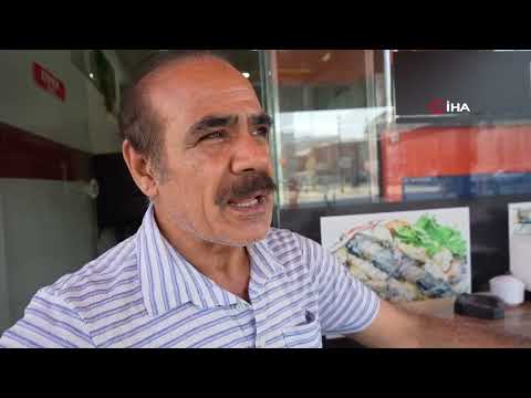 Adı Pala Remzi: Sokakların yeni maskotu herkesi şaşırtıyor