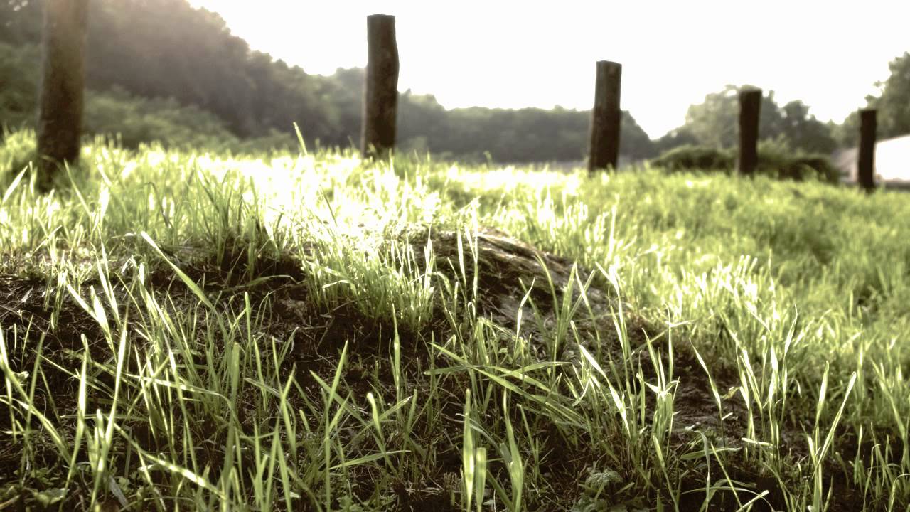 Bunte Bummler - you're mine - YouTube