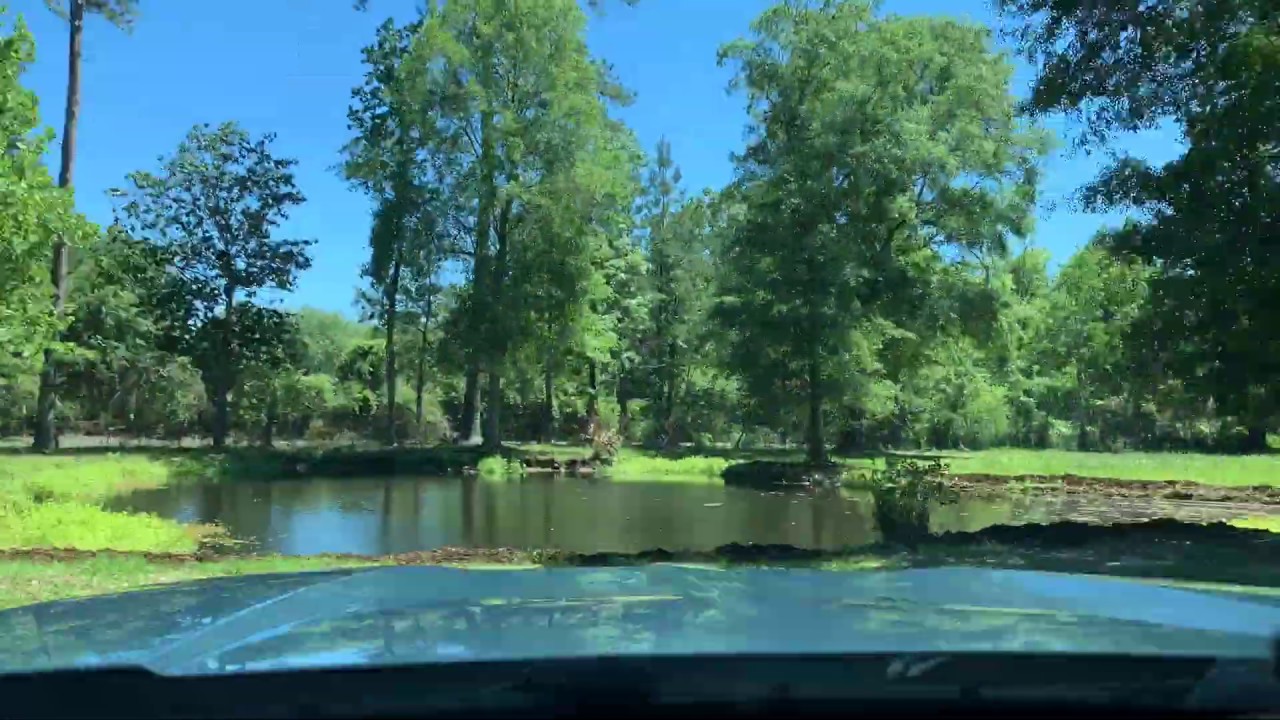 Hwy 16 Amite River Drive Timelapse - YouTube
