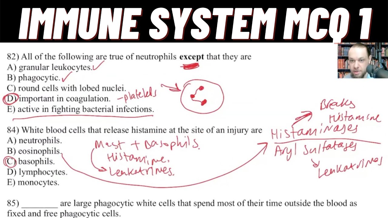 Immune and Lymphatic System MCQ's Problem Set Part 1 - YouTube