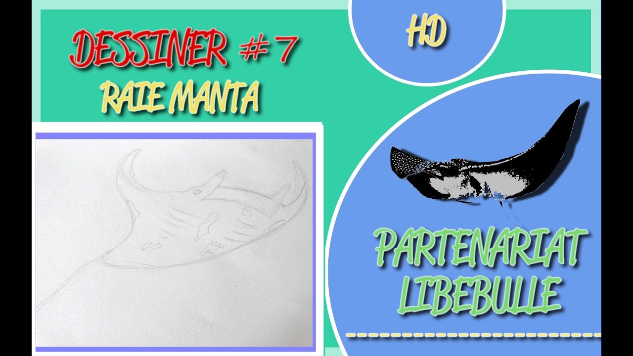 DESSINER RAIE MANTA - ECOSYSTEME #7 - TUTORIEL DESSIN - YouTube