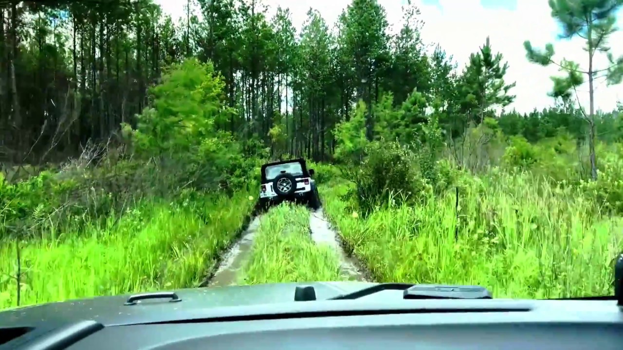 Perdido Jeeper - Perdido River WMA Trail Ride - YouTube