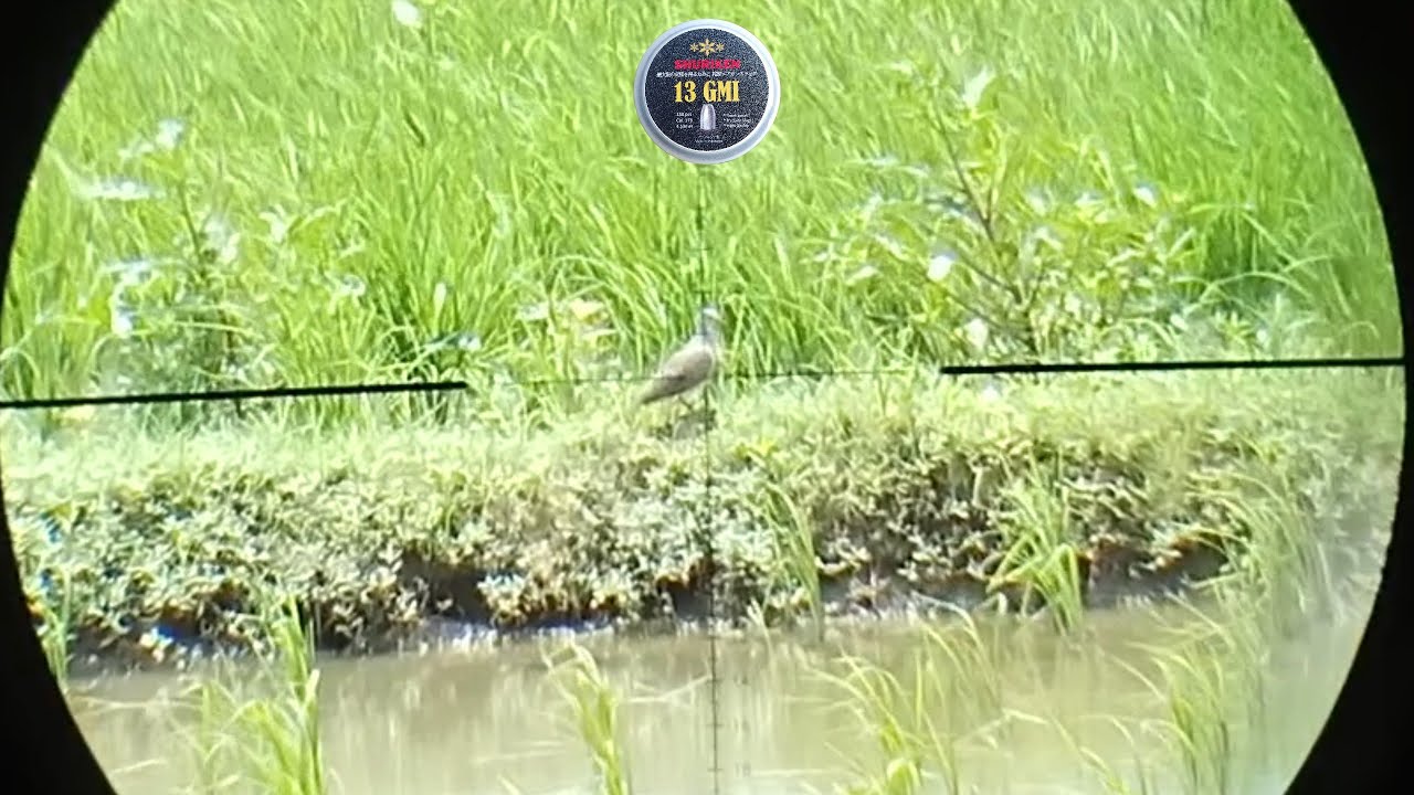 Target nya Melimpah Di sini‼️ Shuriken Slug 13 GMI - YouTube