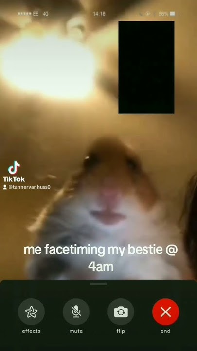 me facetiming my bestie @ 4am - YouTube