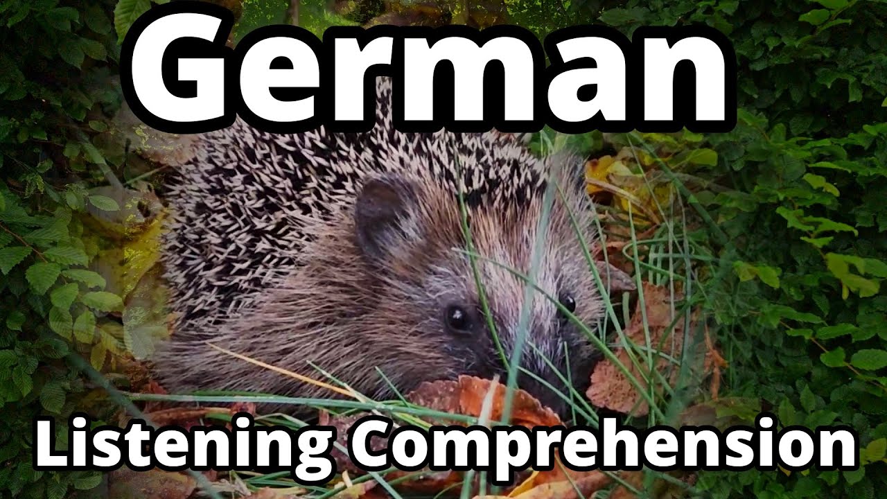 German Listening Comprehension + Quiz - YouTube