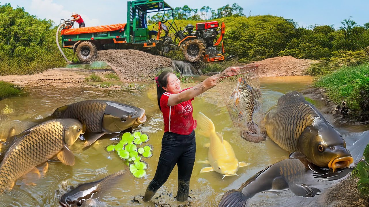 Use High Capacity Pump To Drain Fish Pond - Harvesting A Lot Of Catfish ...