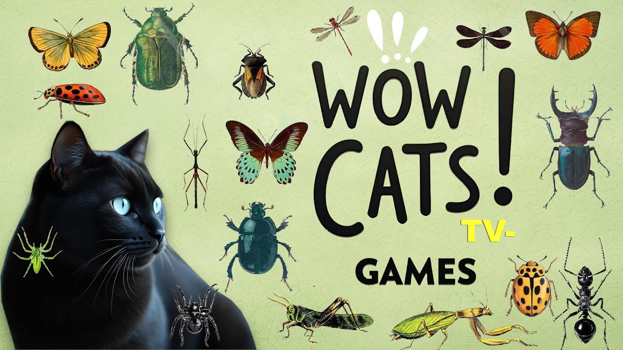 Cat Games 😺 3 Hours of Bug Chase Adventure 🦋🐞🦗 Realistic Game for Cats ...