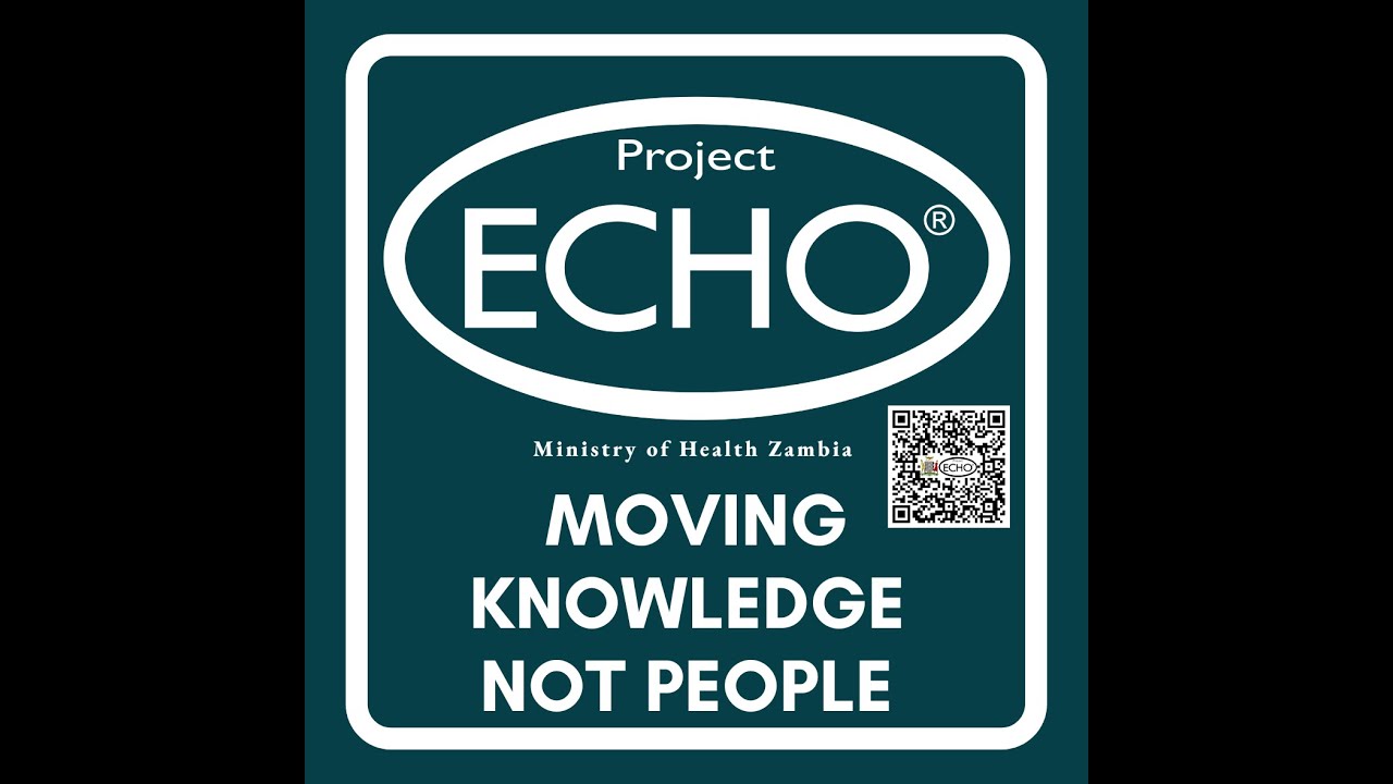 Project ECHO Introductory Video - YouTube