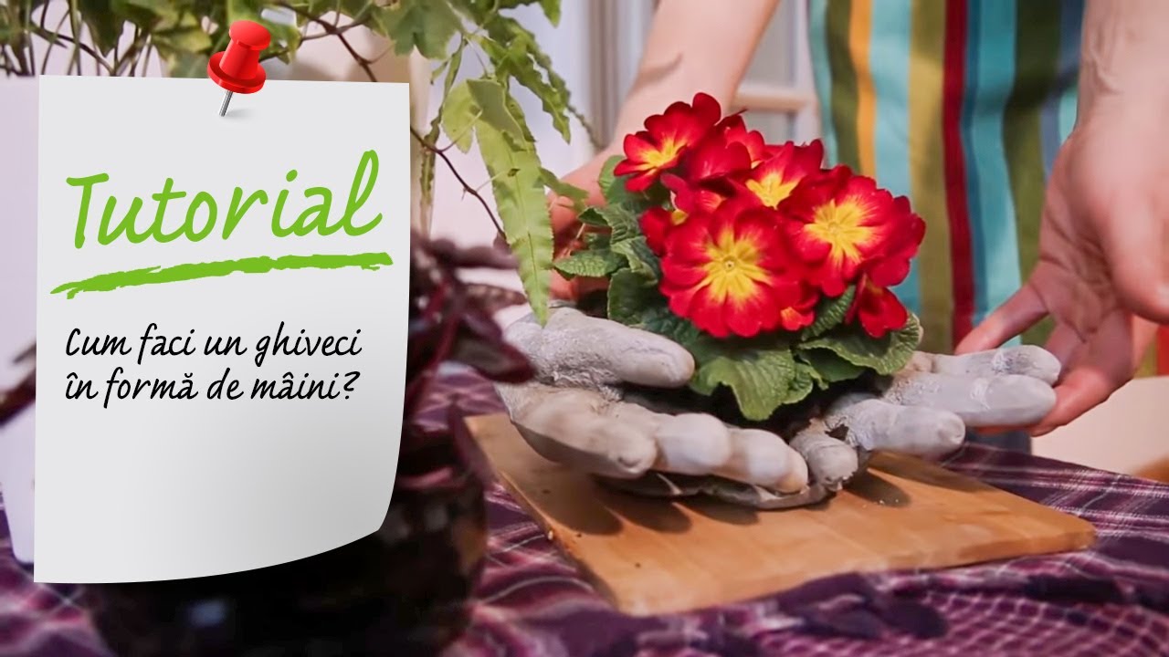 Tutorial VIDEO - Cum faci un ghiveci in forma de maini? - YouTube